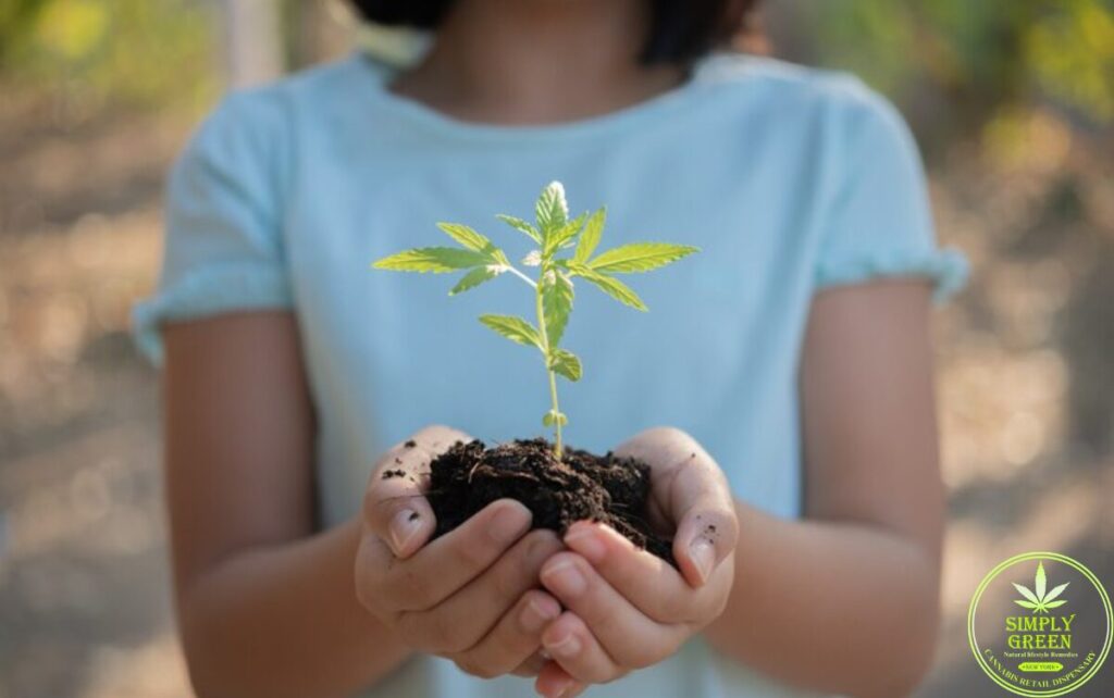The Best Soil for Marijuana: What Every Grower Should Know