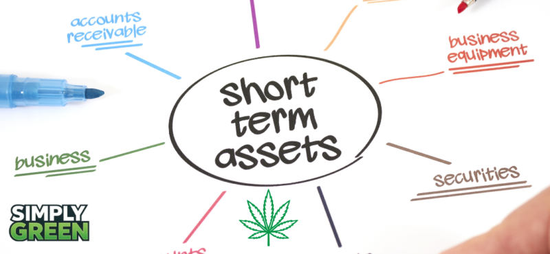Cannabis Safety and Risk Assessment: Short- and Long-Term Effects